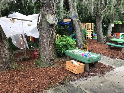The Importance of Natural Play Spaces - Play with a Purpose Blog