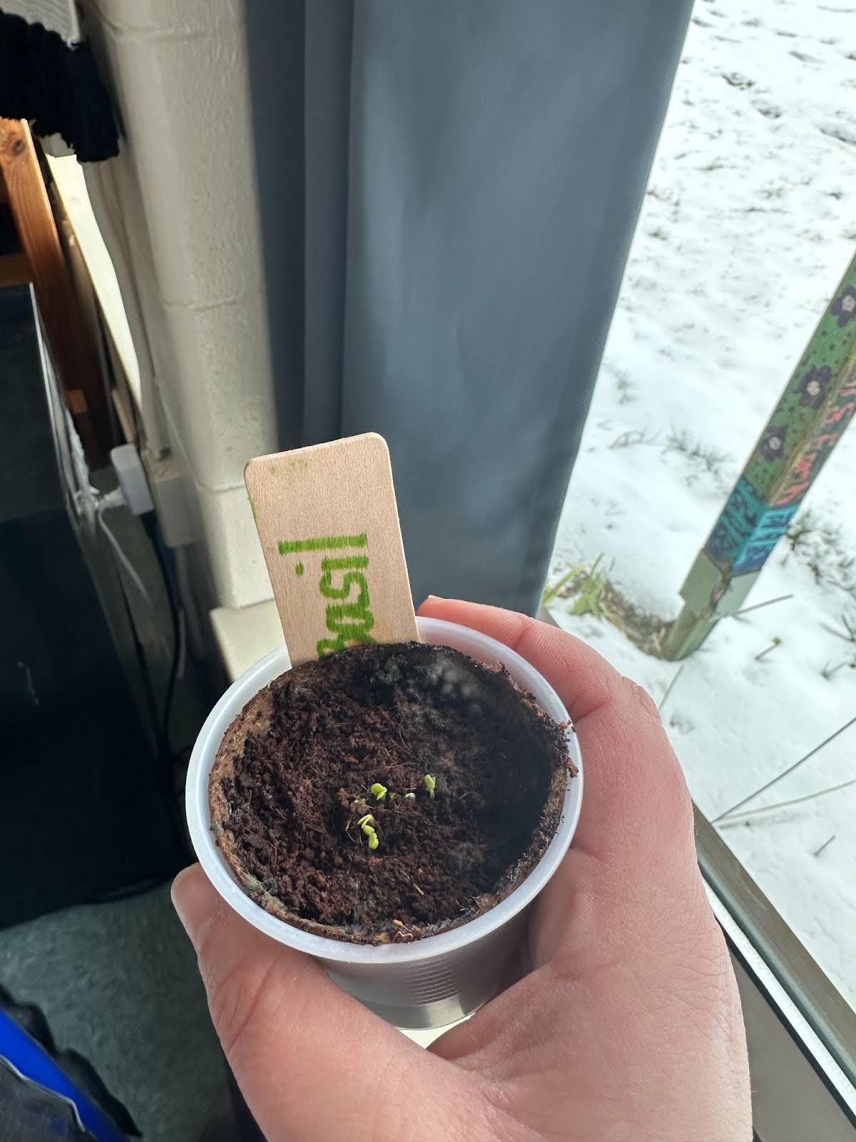 Cultivate Growth and Exploration Through Planting - Play with a Purpose ...